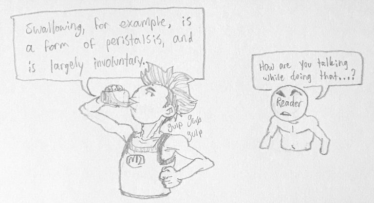 [How to Draw] The Mangled Mess of Human Musculature – The Anatomy of ...