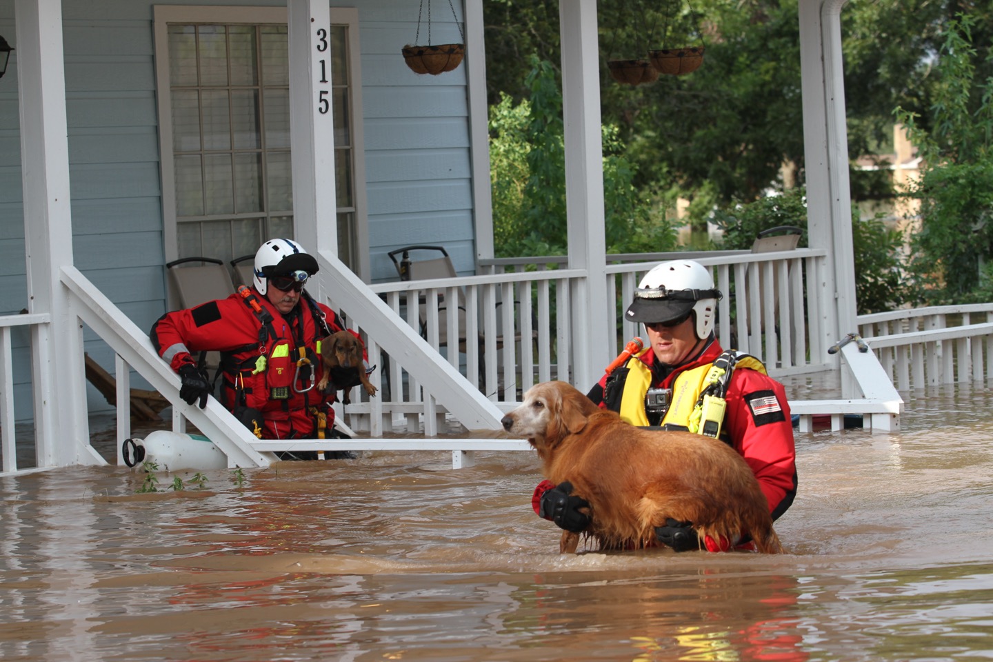 Shelters to the Rescue » Natural Disaster: Calling All Shelters